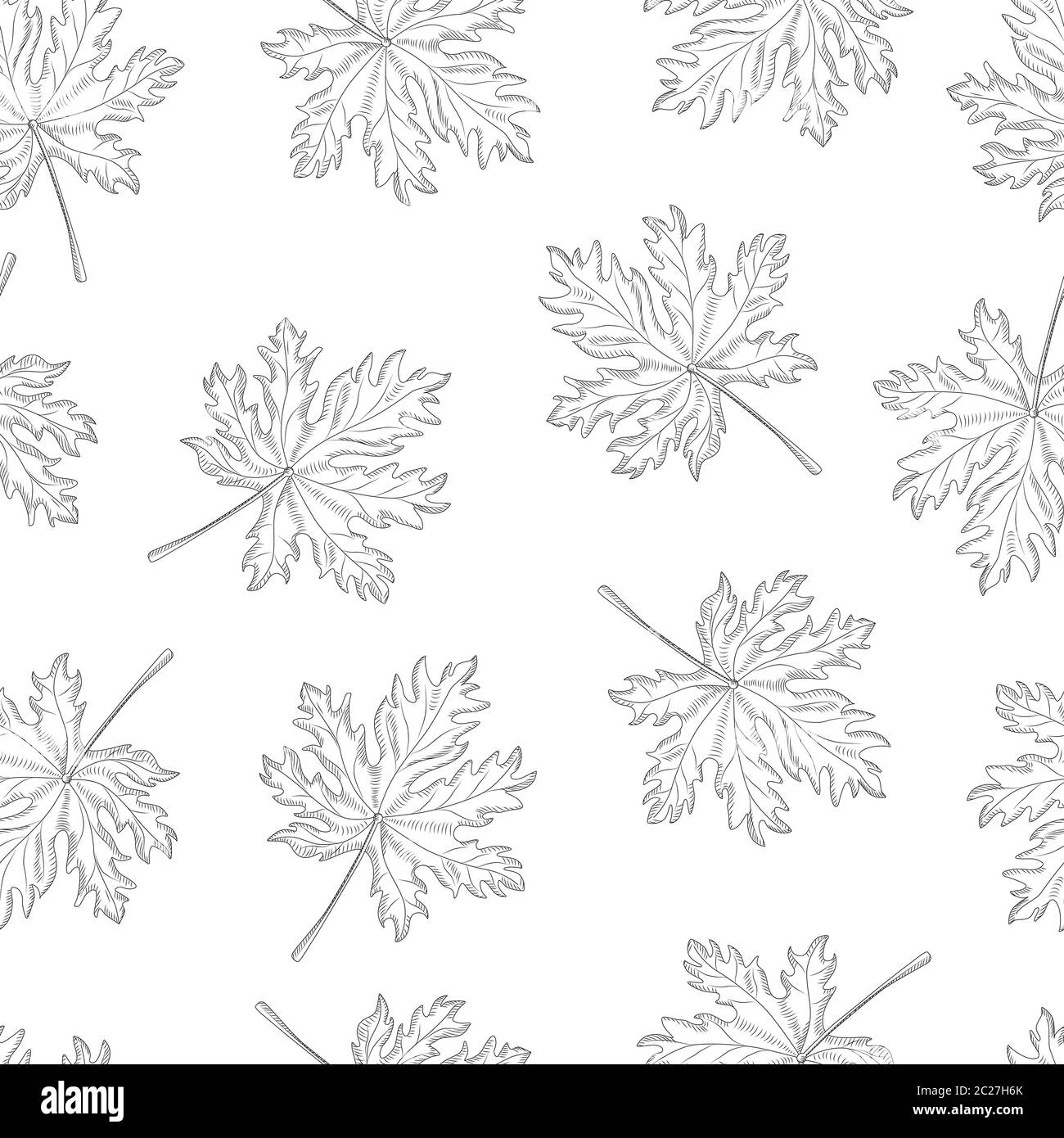 Retro engraving maple leaf seamless pattern on white background. Monochrome leaves vintage ...