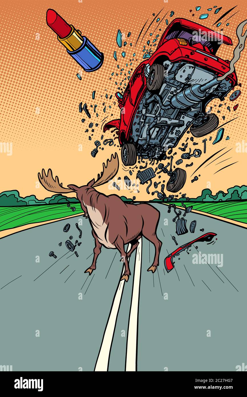 danger on the road, wild animals. moose and car. Comic cartoon pop art ...
