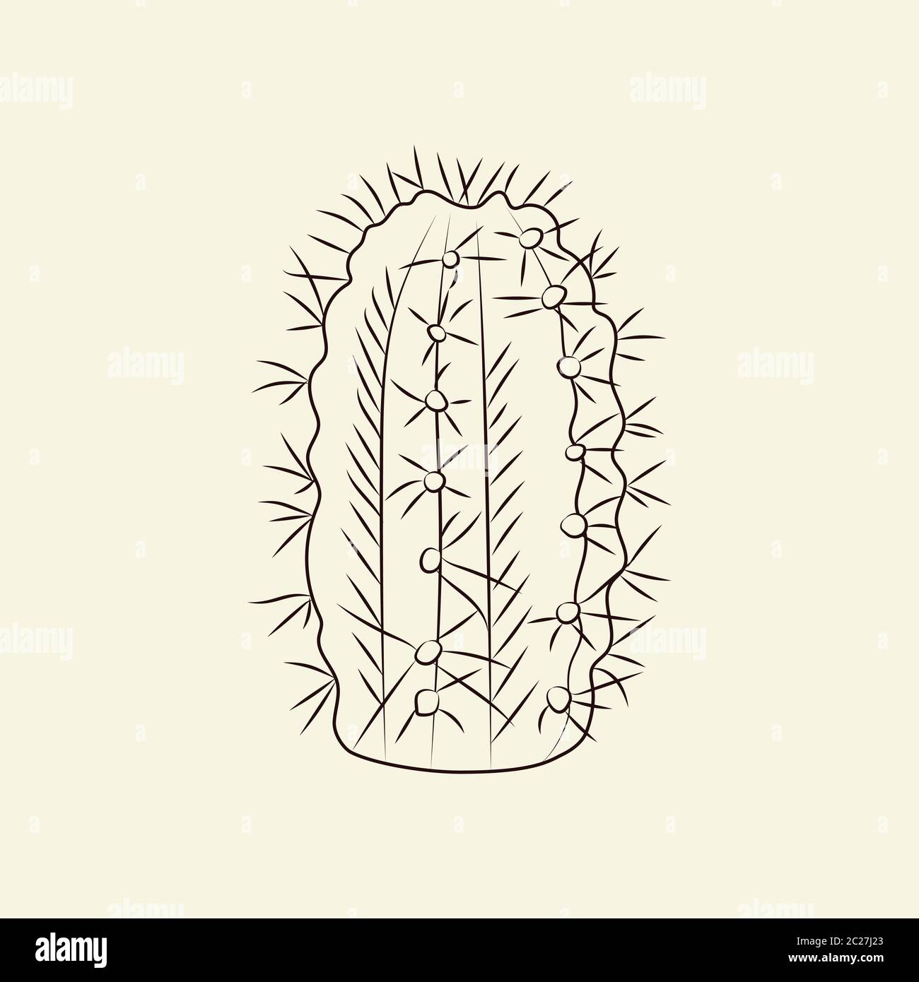 Hand drawn cactus isolated on light background. Wild cacti sketch ...