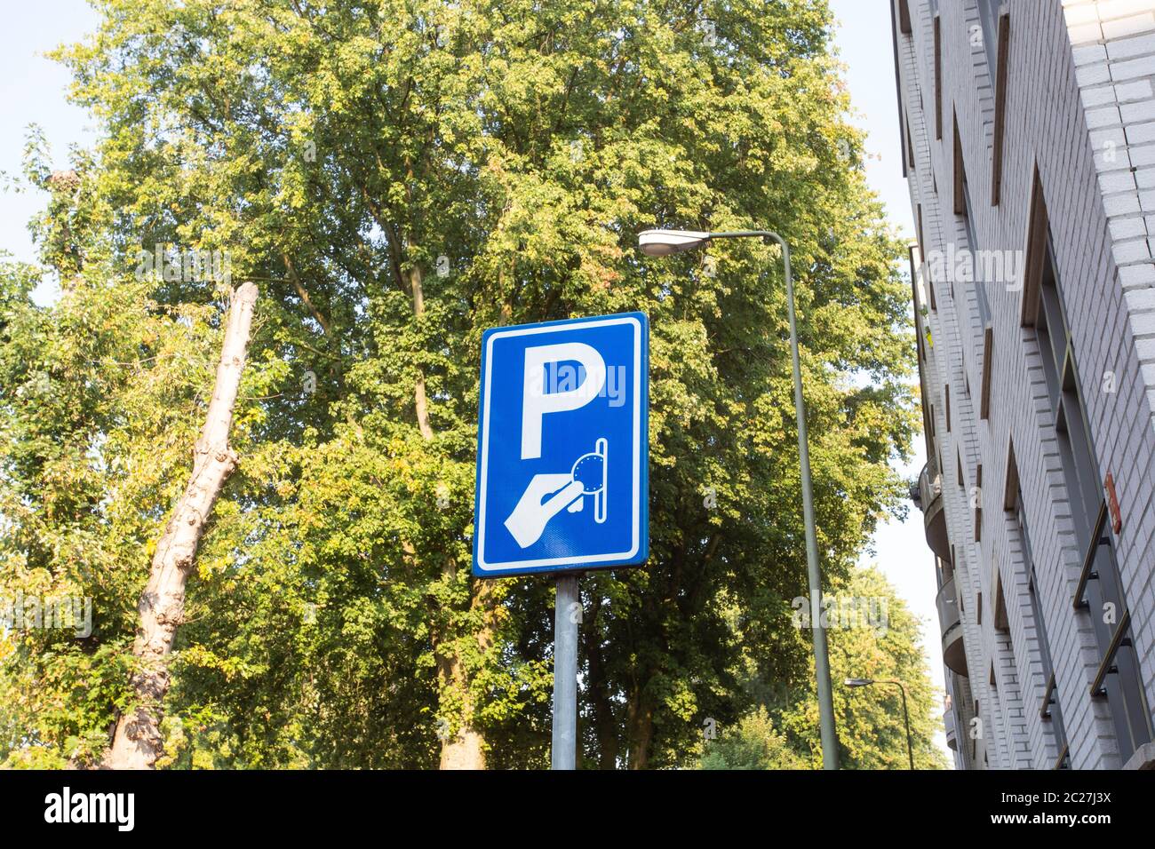 Paid parking area sign, Paid services on a background of green trees in ...