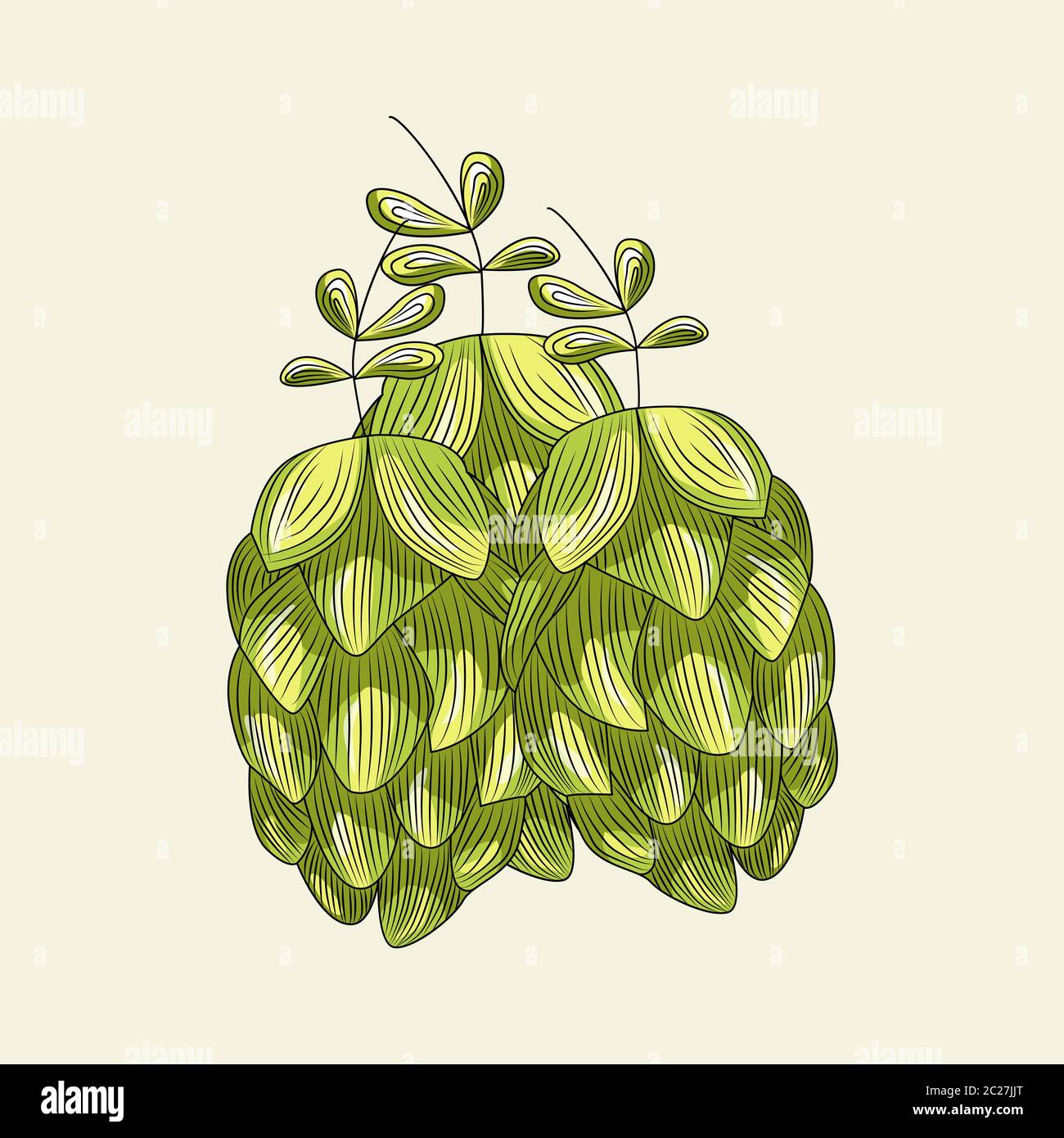 Green hops for brewing isolated on light background. Hand drawn hops ...