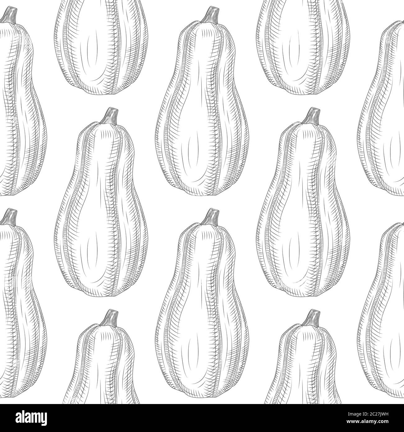 Zucchini seamless pattern on white background. Monochrome courgette ...