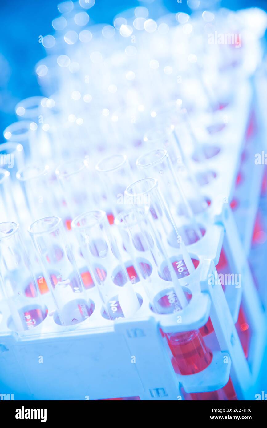 Lab science research glass items adding drop to one of several test ...