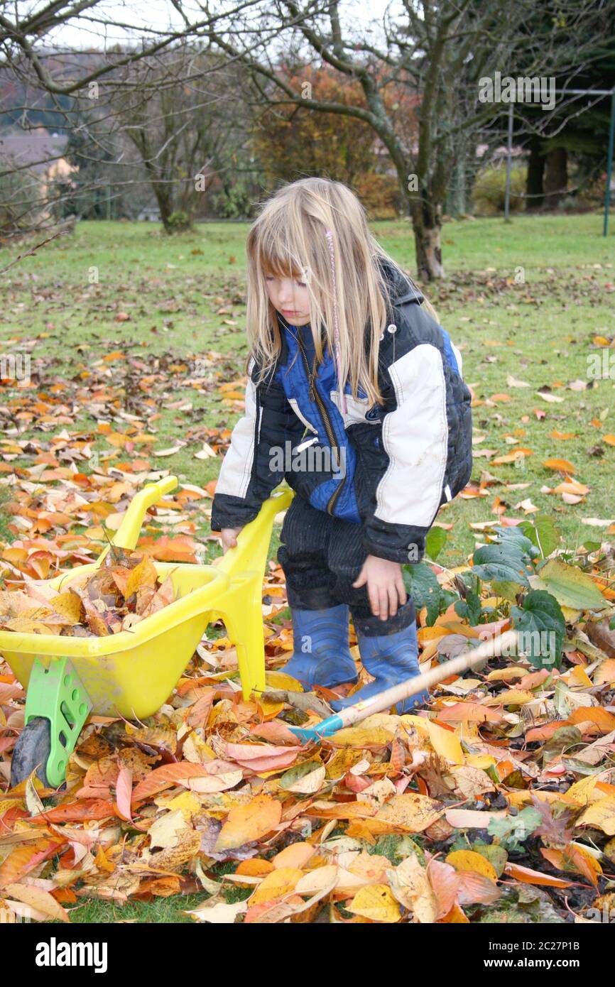Foliage collector hi-res stock photography and images - Alamy