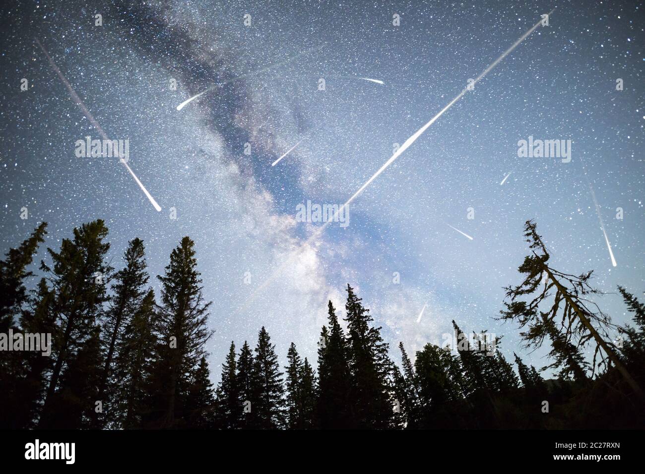 Pine trees silhouette Milky Way falling stars Stock Photo - Alamy