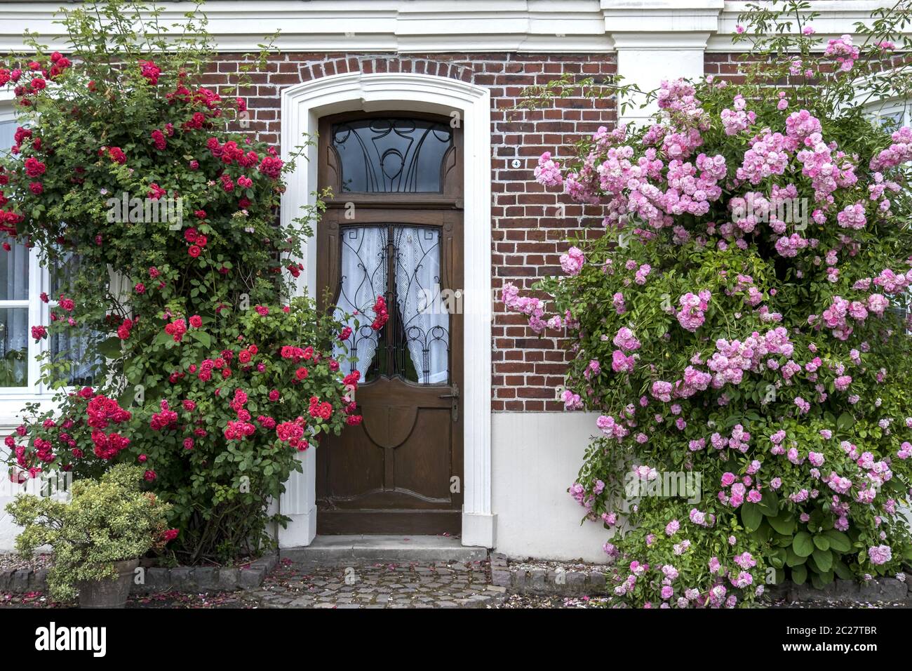 House facade with climbing roses Stock Photo - Alamy