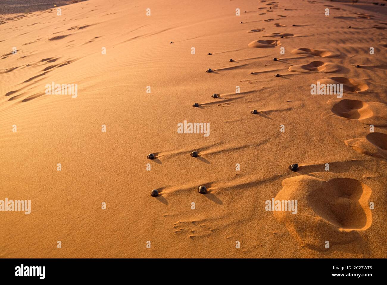 Sand structures hi-res stock photography and images - Alamy