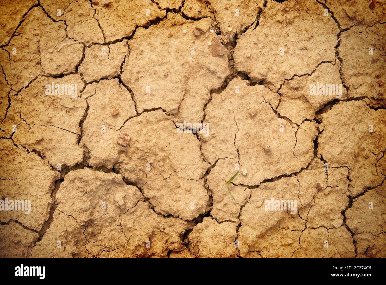 Dry yellow soil in the desert. Texture for background Stock Photo - Alamy