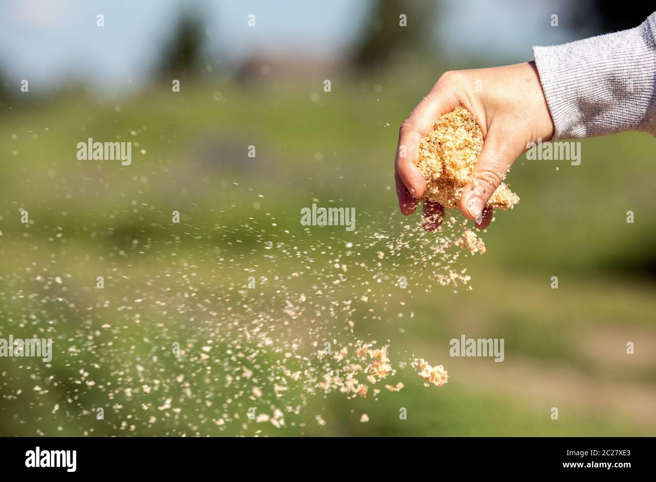Flutter hands hi-res stock photography and images - Alamy