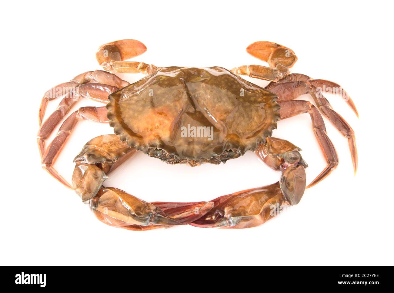 soft shell crab Stock Photo - Alamy