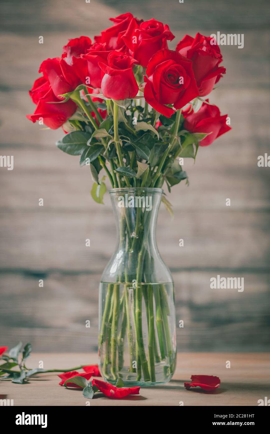 Rose of Valentines Day Stock Photo - Alamy
