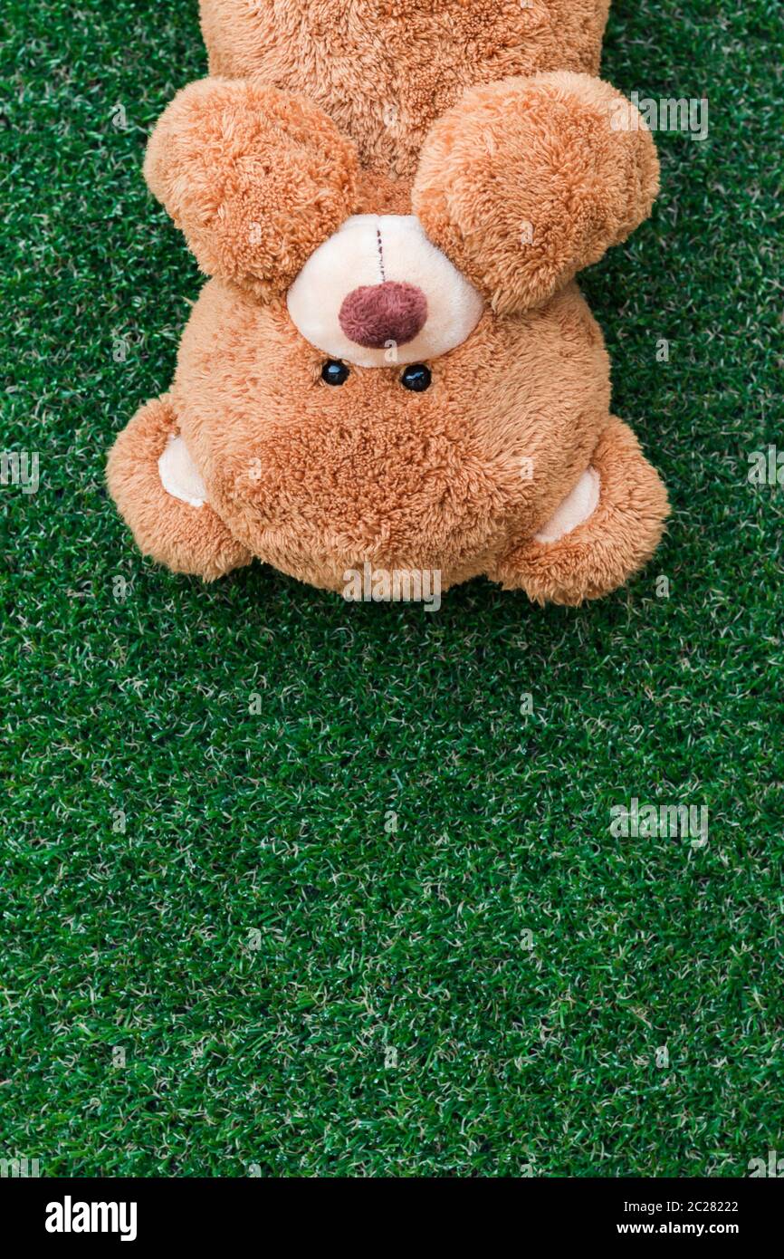 Cute teddy bear Stock Photo - Alamy