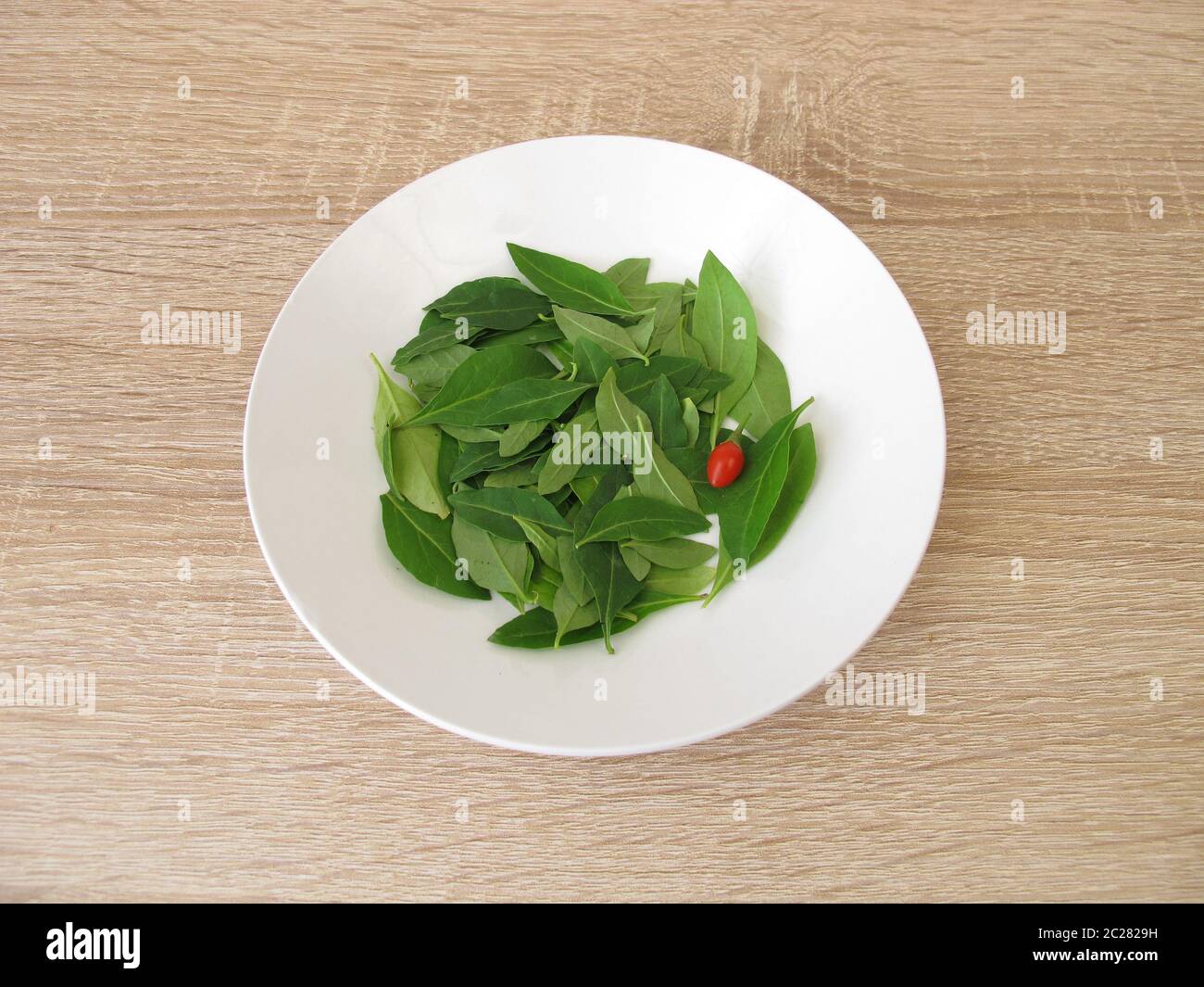 Fresh goji leaves on the plate Stock Photo - Alamy