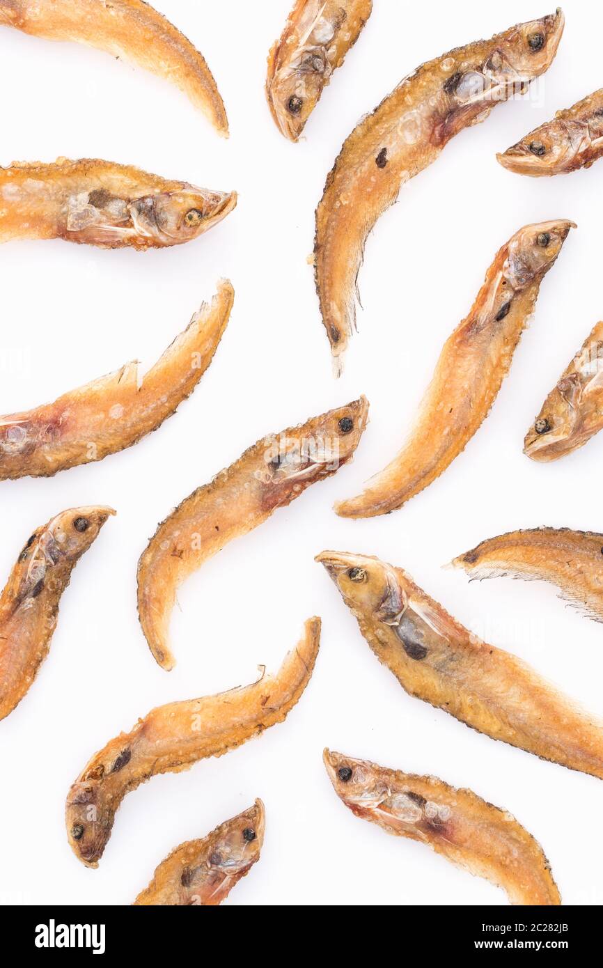 Sheatfish hi-res stock photography and images - Alamy