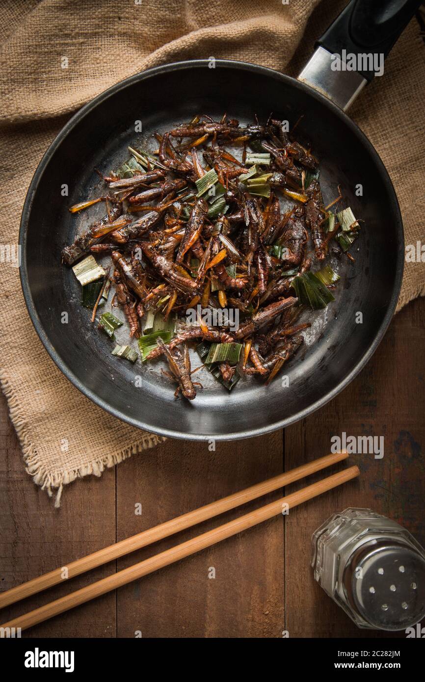 Cooked grasshopper hi-res stock photography and images - Alamy