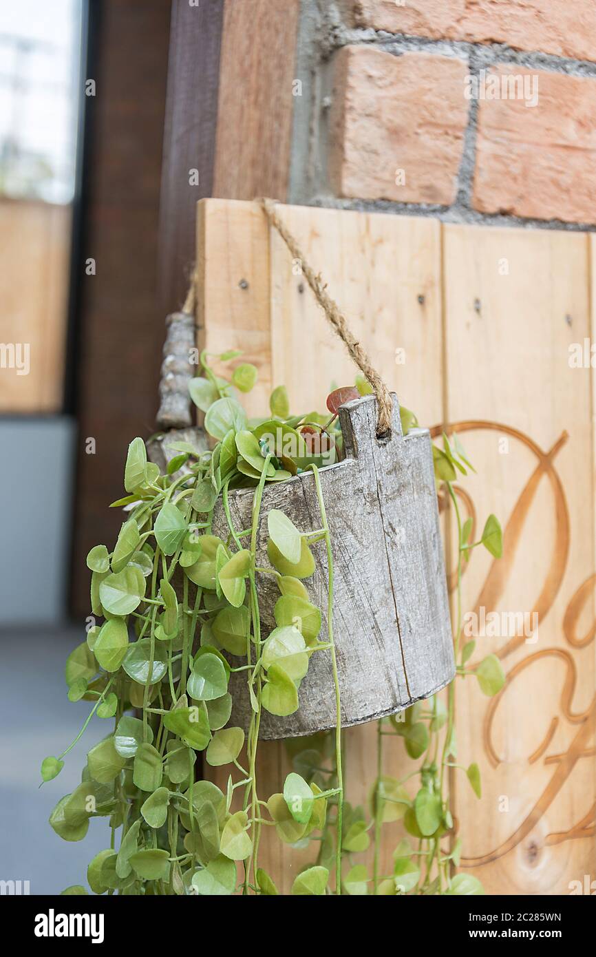 Home wood plants hi-res stock photography and images - Alamy