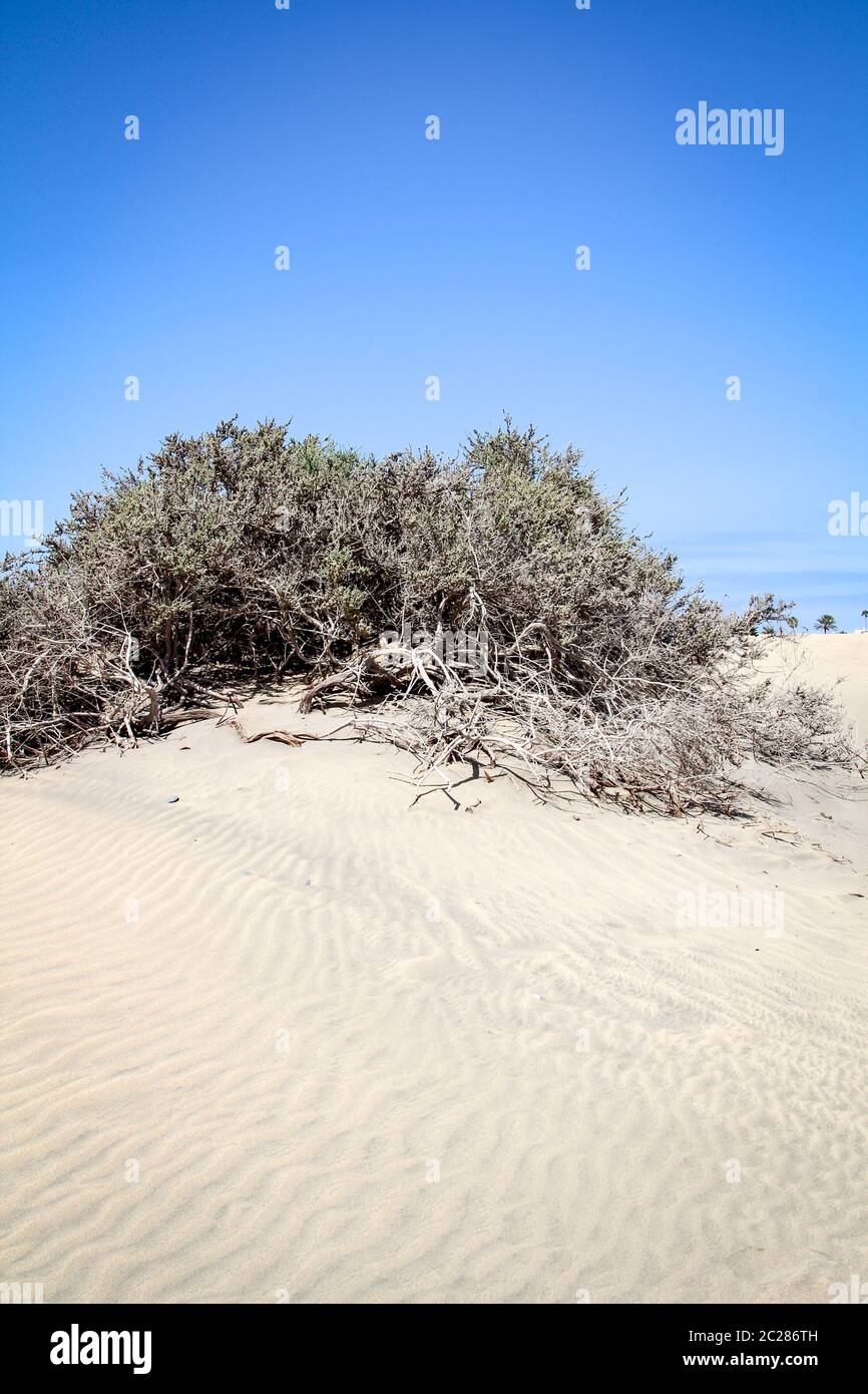 Lot of sand hi-res stock photography and images - Alamy