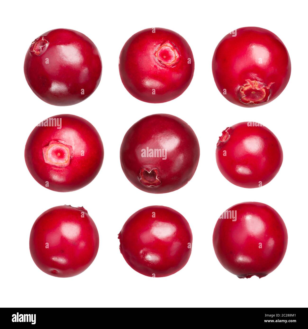 Lingonberry (fruits of Vaccinium vitis-idaea), isolated Stock Photo - Alamy