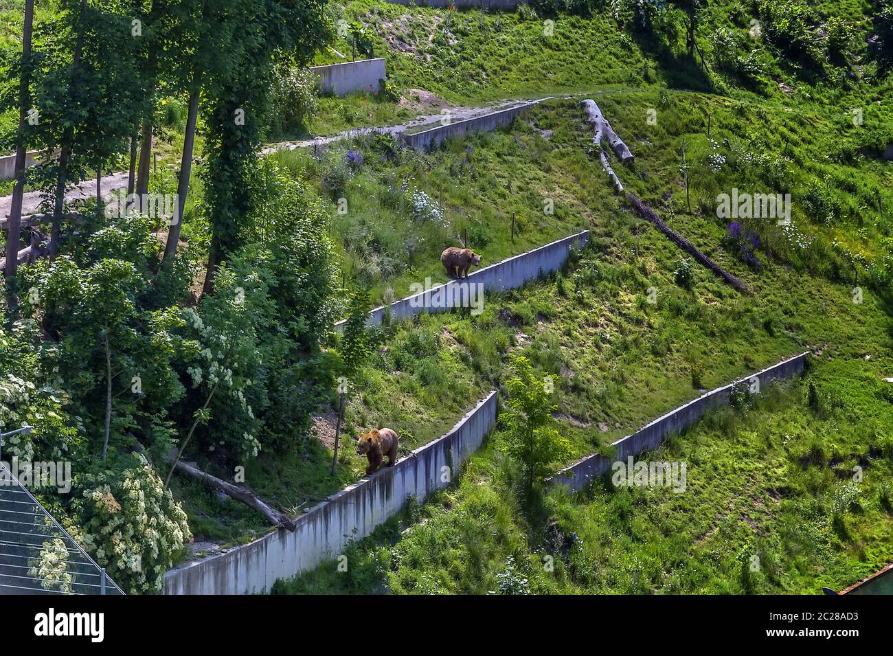 Bear park hi-res stock photography and images - Alamy