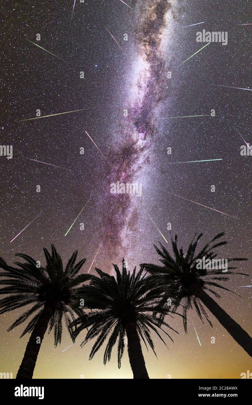 Purple Milky way falling stars palm trees Stock Photo - Alamy