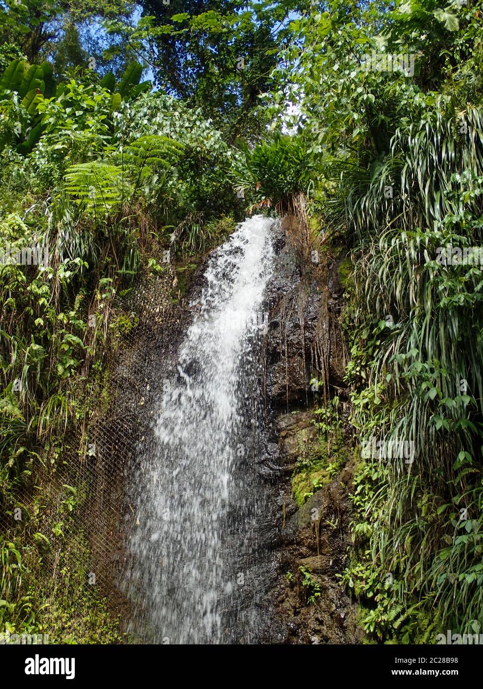 Saint Vincent and the Grenadines in the Caribbean Sea - Dark View Falls ...