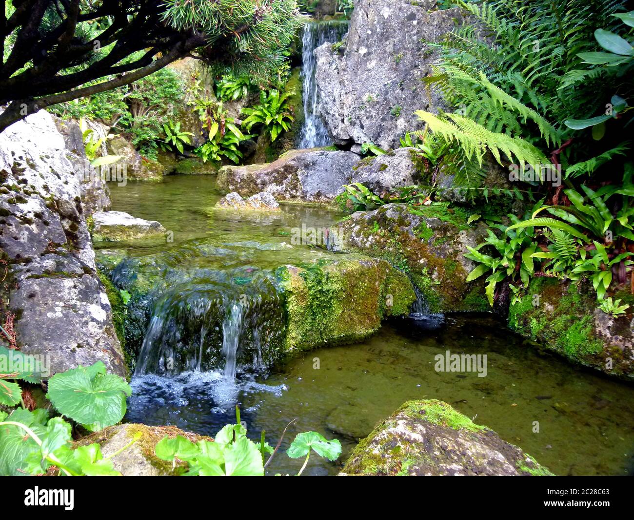 beautifully landscaped garden of Japanese style with stream and ...