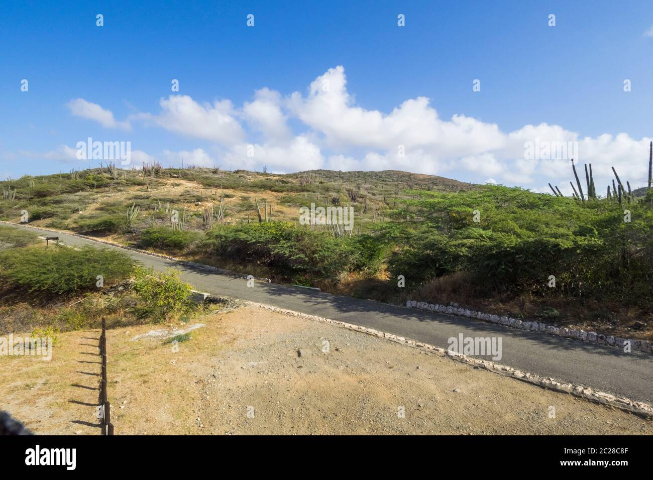 Caribbean Sea, Aruba - Aruba National Park Stock Photo - Alamy
