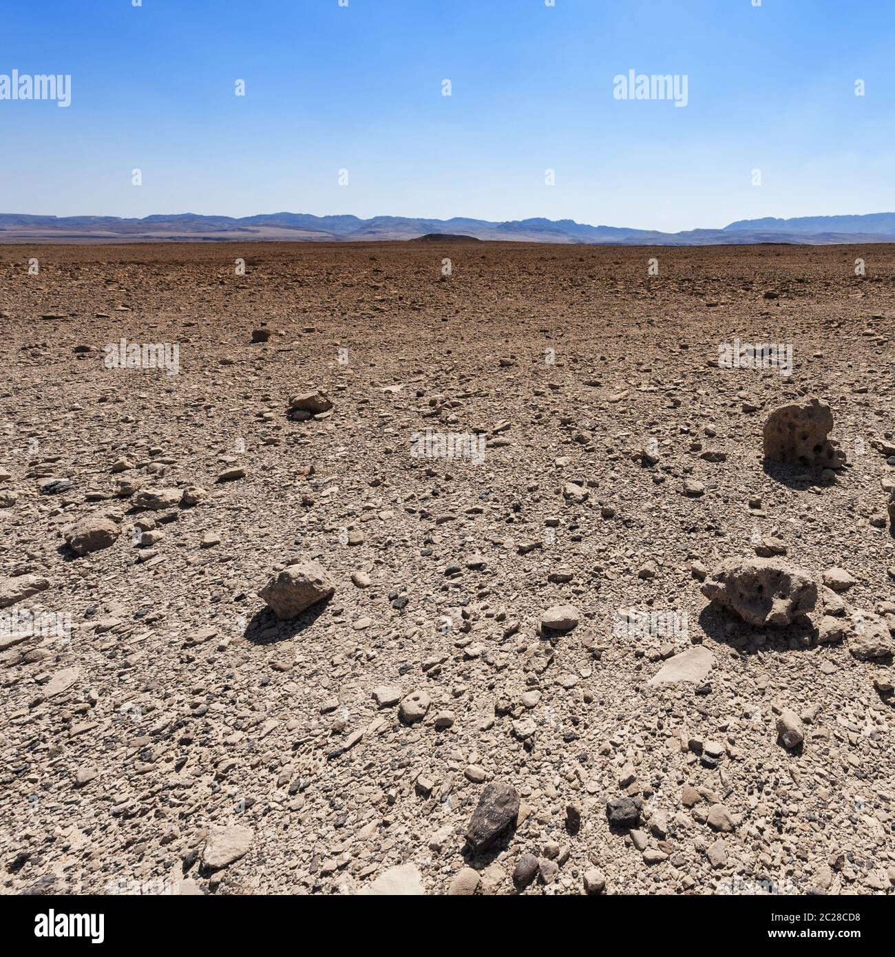 Whimsical patterns desert hi-res stock photography and images - Alamy