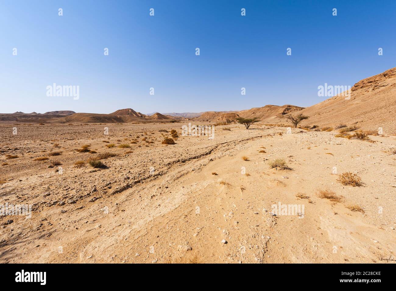 Whimsical Patterns of the Desert Stock Photo - Alamy