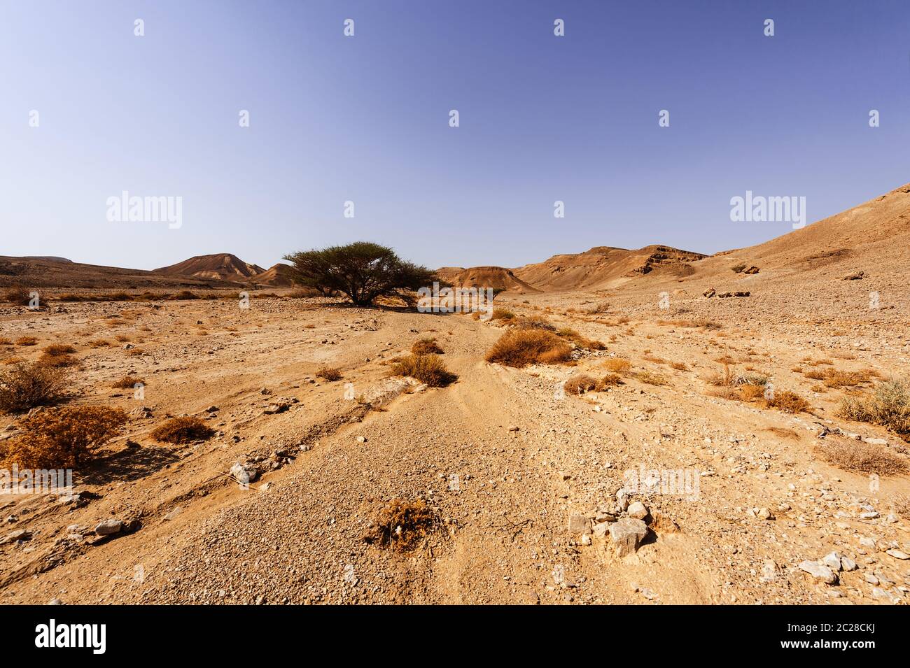 Whimsical Patterns of the Desert Stock Photo - Alamy