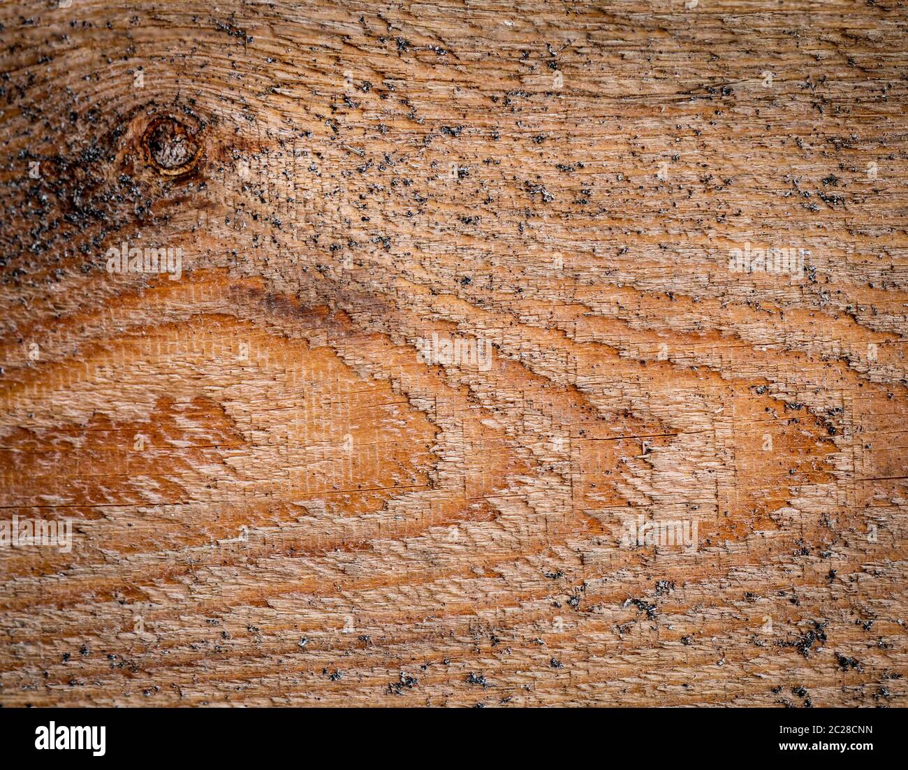 Wood texture of a tree stump with annual rings and grain Stock Photo ...