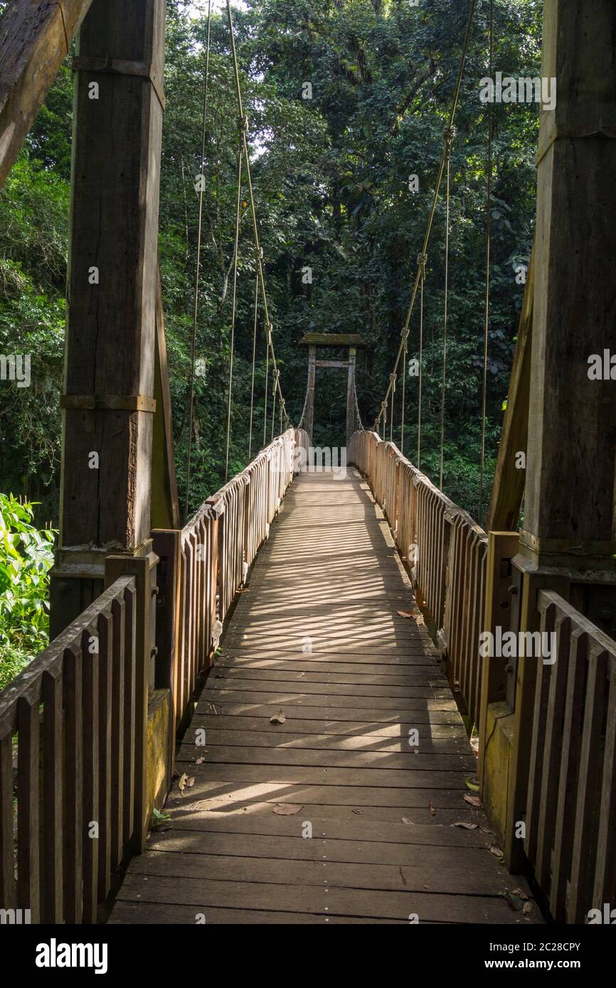 Caribbean Sea - Rainforest on Guadeloupe Stock Photo - Alamy