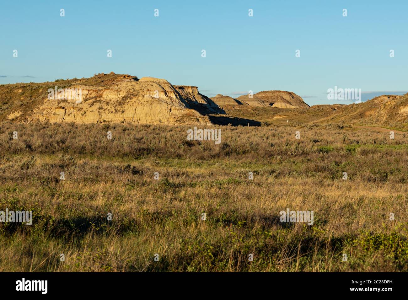 The Landscape of the Prairie in Canada Stock Photo - Alamy