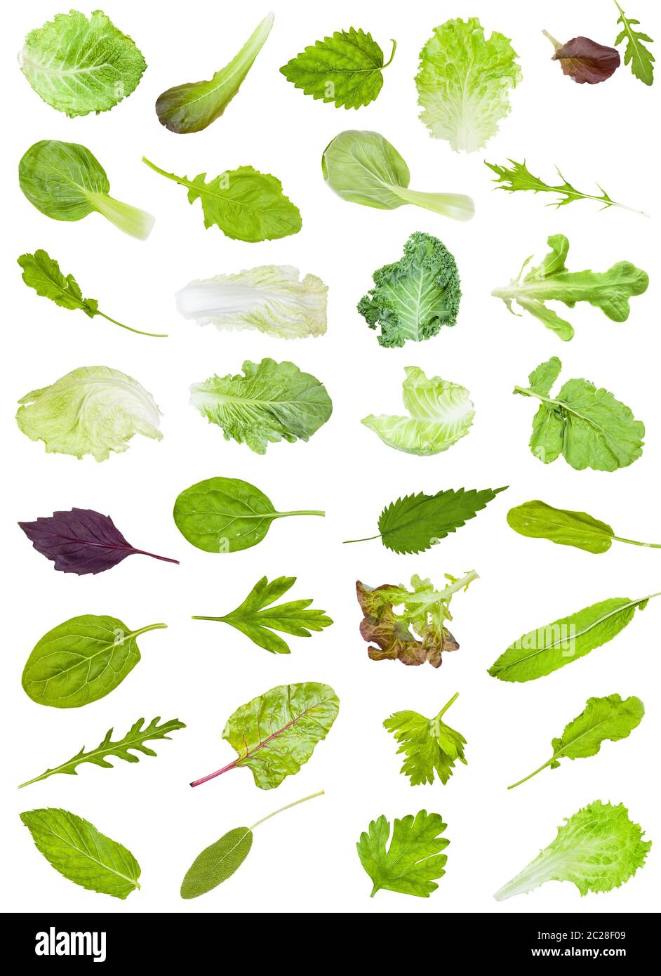 set from various fresh leaves of edible greens isolated on white ...