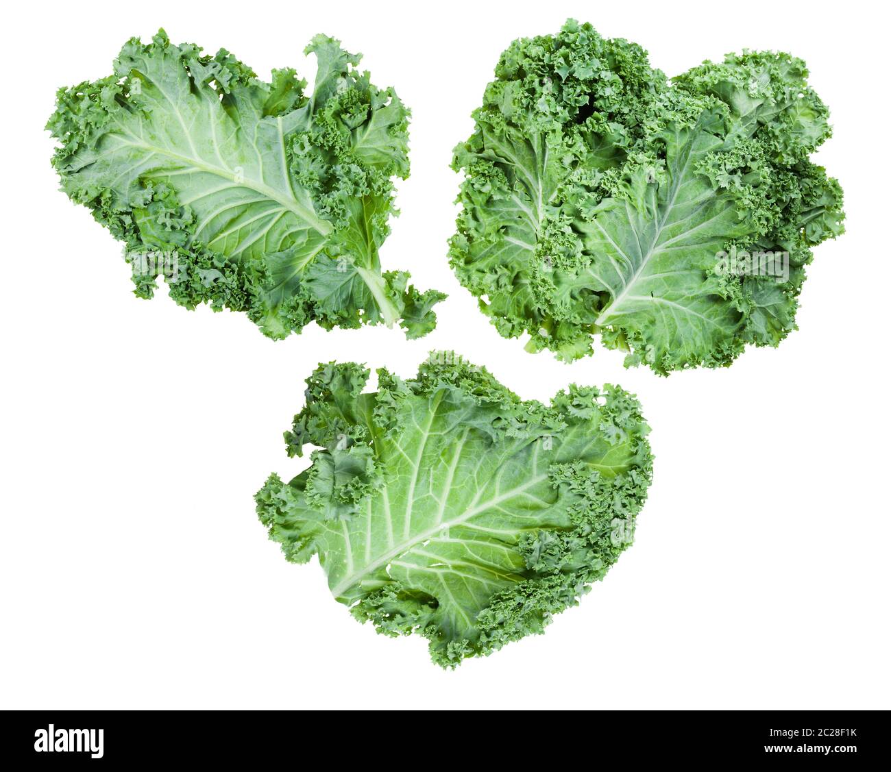 various heap and leaves of curly-leaf kale (leaf cabbage) isolated on ...