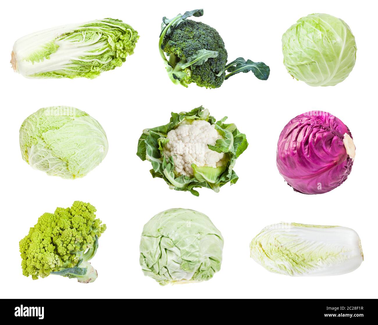 Purple romanesco broccoli hi-res stock photography and images - Alamy