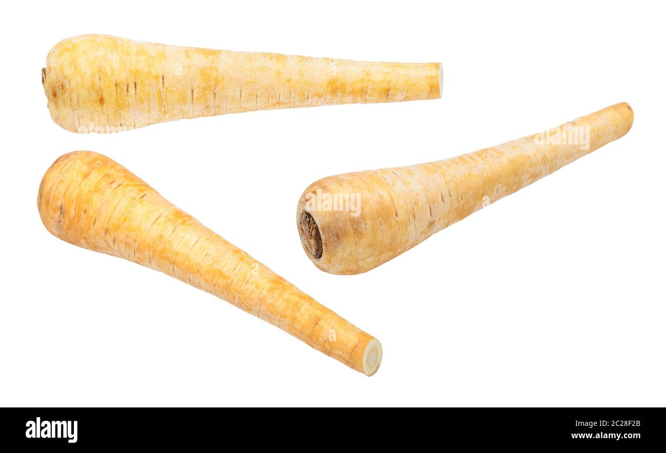 three ripe roots of Parsnip (pastinaca sativa) plant isolated on white ...