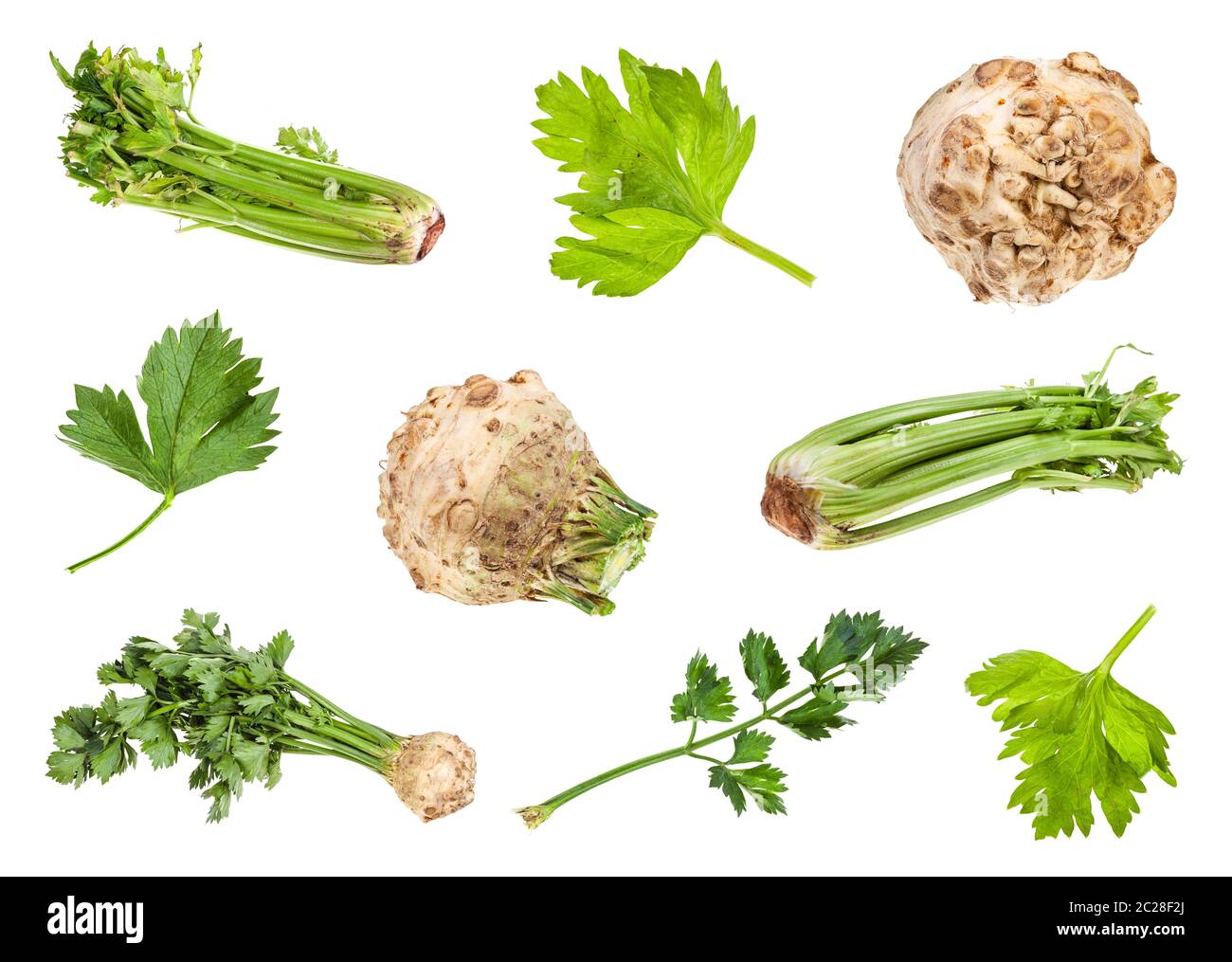 various roots and greens of celeriac and celery isolated on white ...