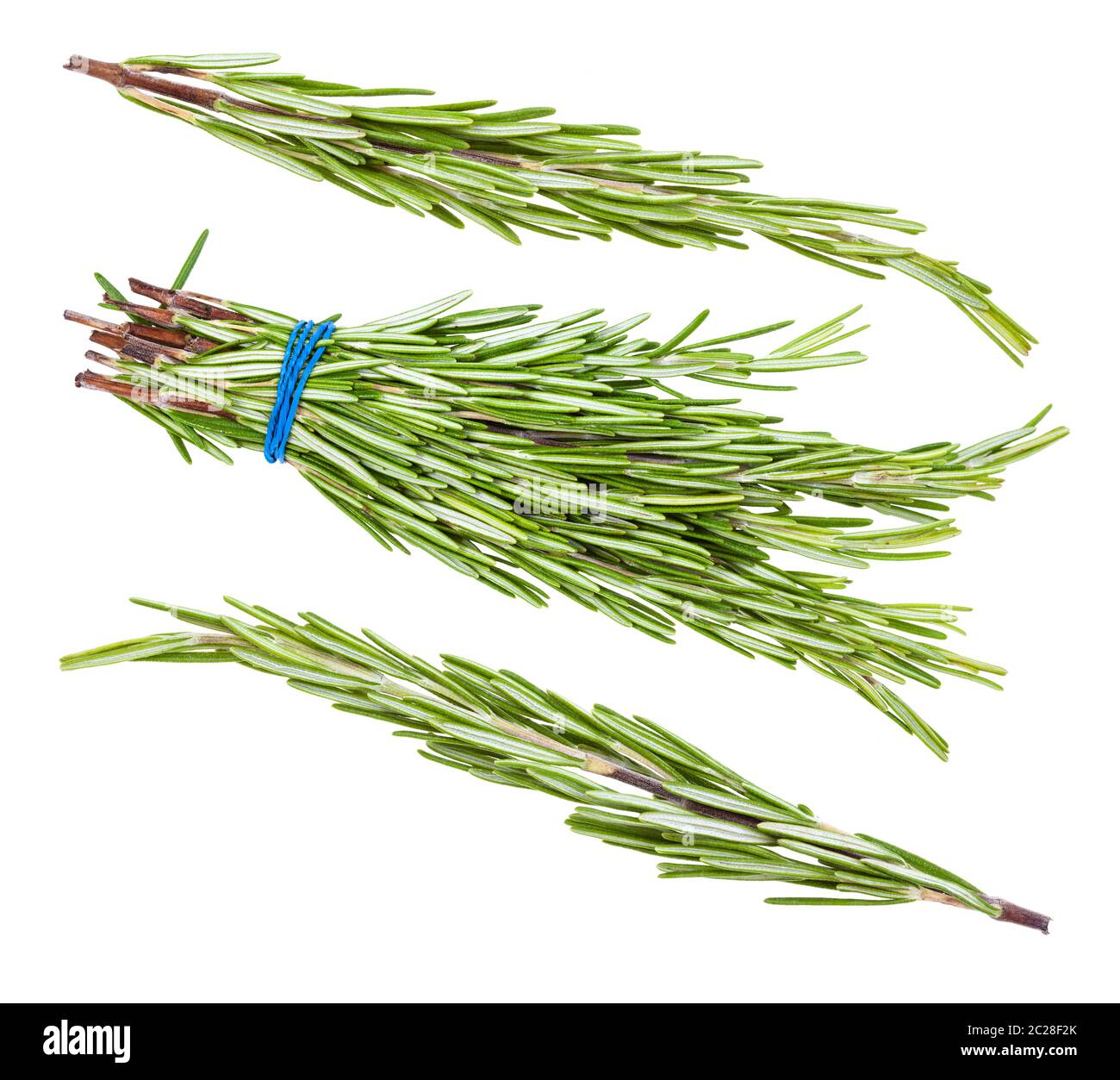 various twigs of fresh rosemary herb isolated on white background Stock ...