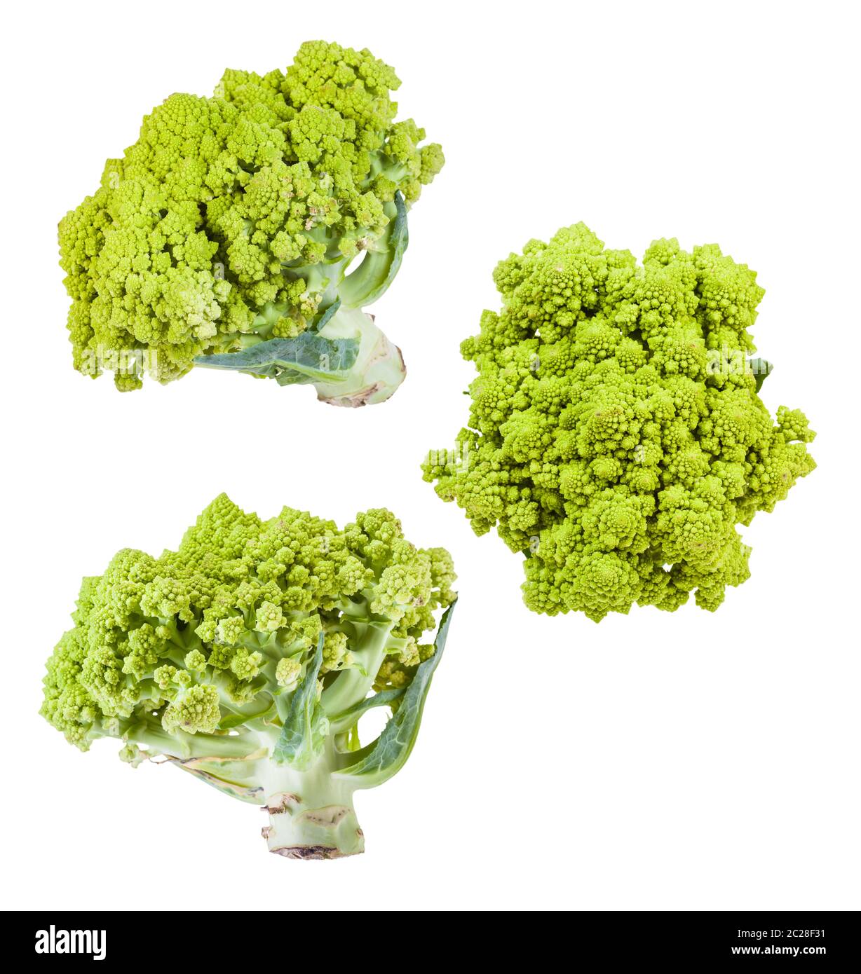 various fresh romanesco broccoli heads cut out on white background ...