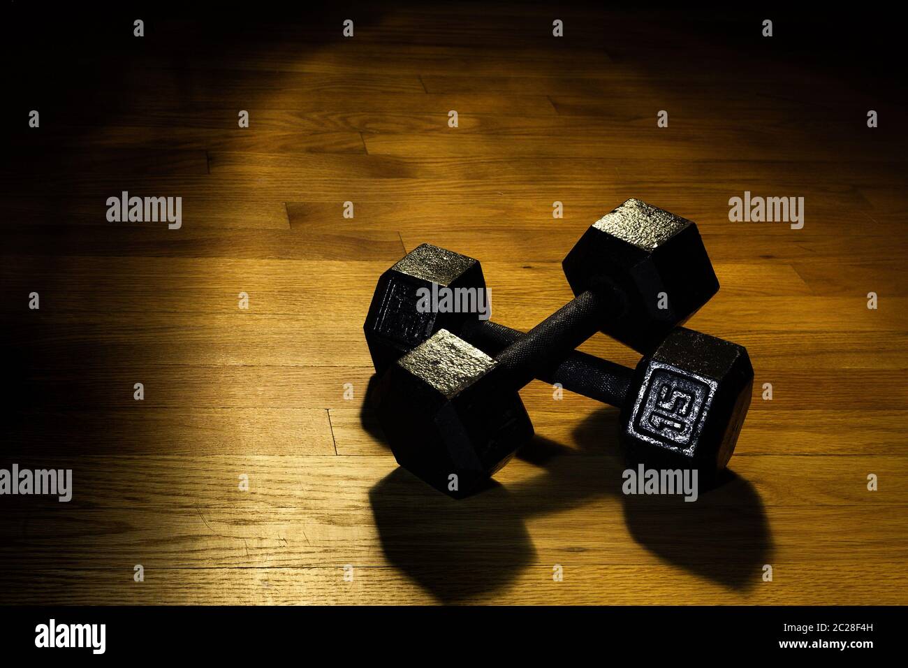Two 15 Pound Weights Stock Photo - Alamy
