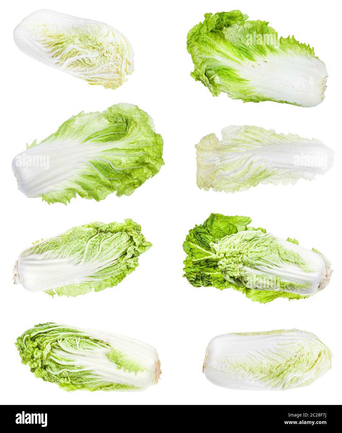 various heads and leaves of Napa cabbages (chinese brassica rapa ...