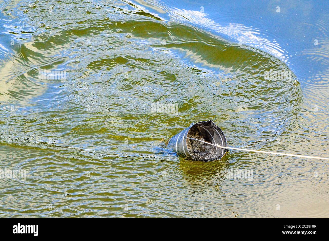 Take samples of water for laboratory testing. The concept - analysis of ...