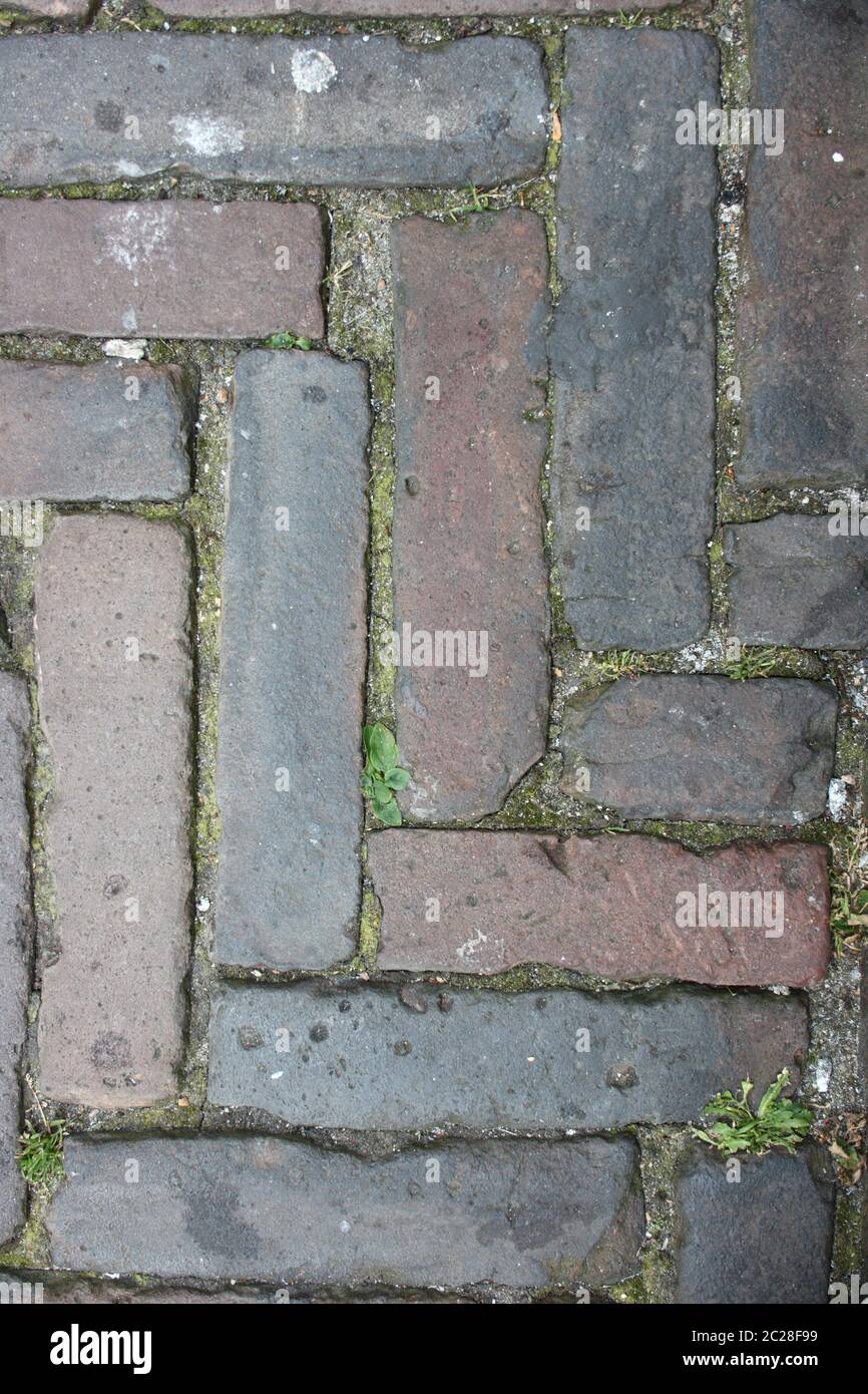 Covering pavement hi-res stock photography and images - Alamy