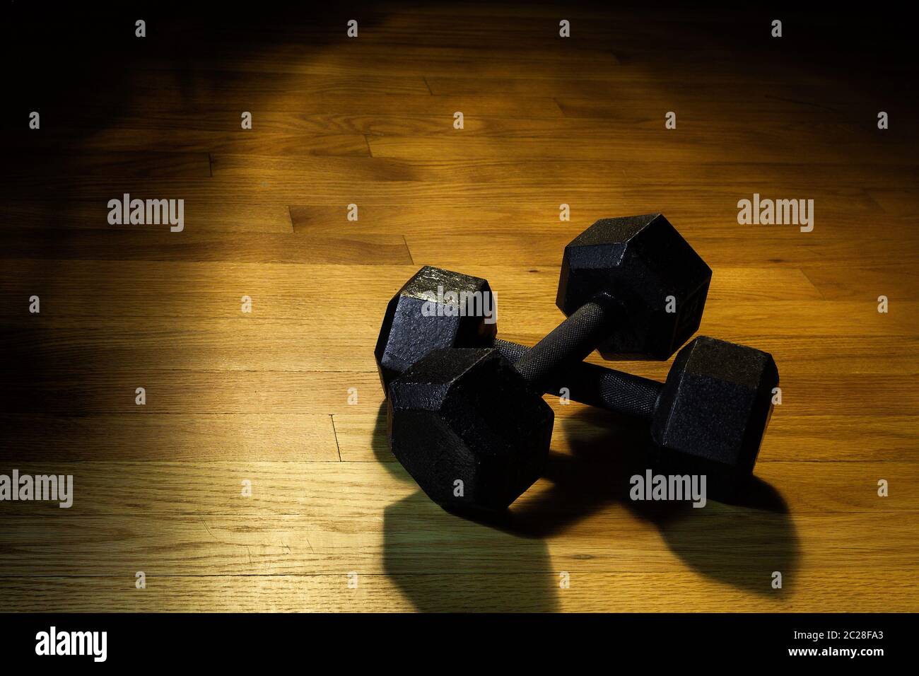 Two 15 Pound Weights Stock Photo - Alamy
