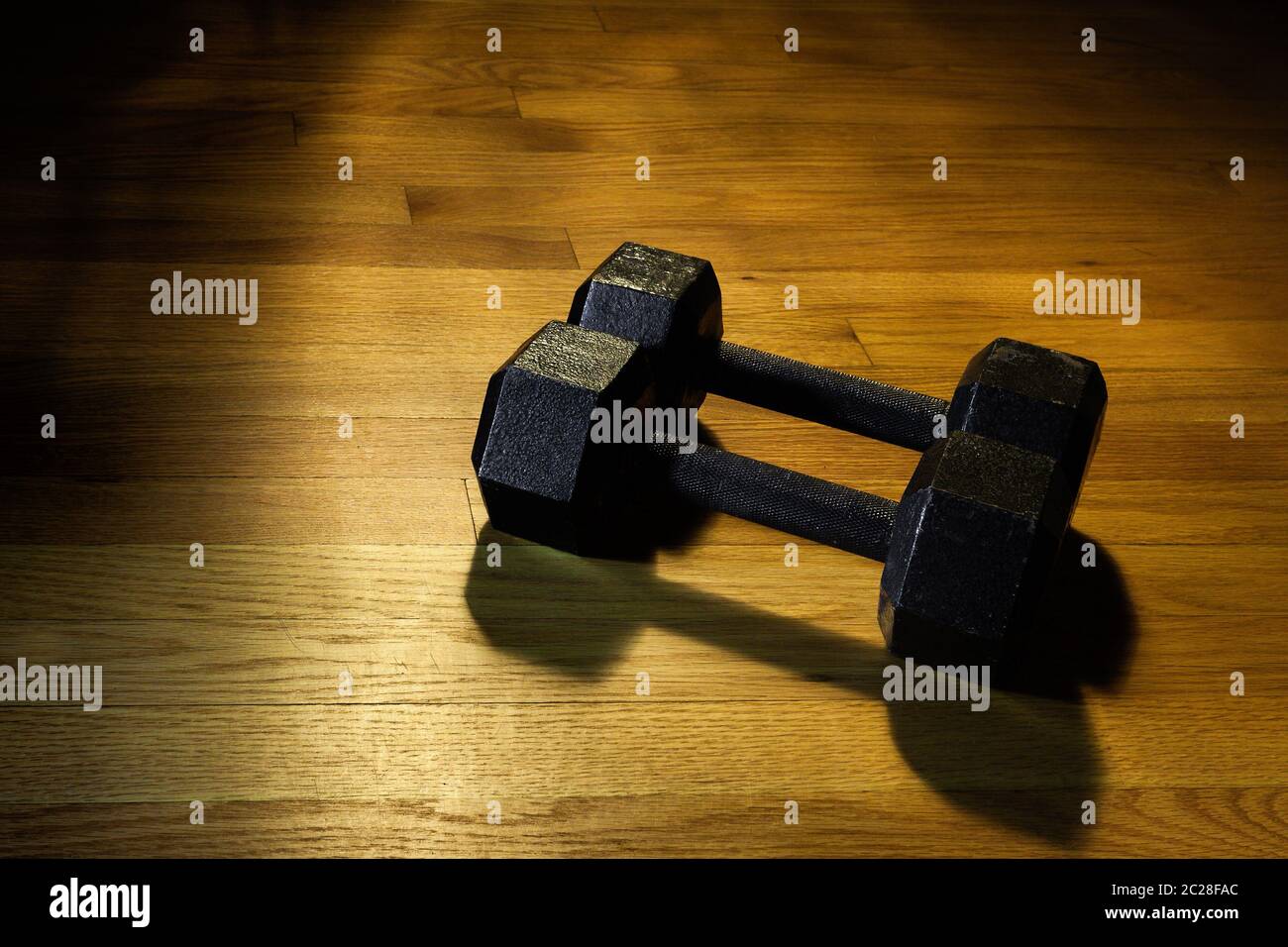 15 pound hi-res stock photography and images - Alamy