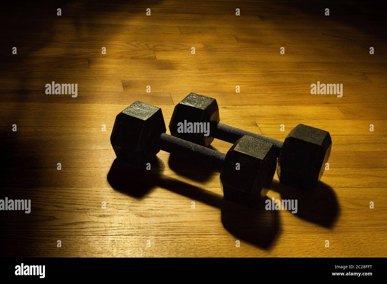 Two 15 Pound Weights Stock Photo - Alamy