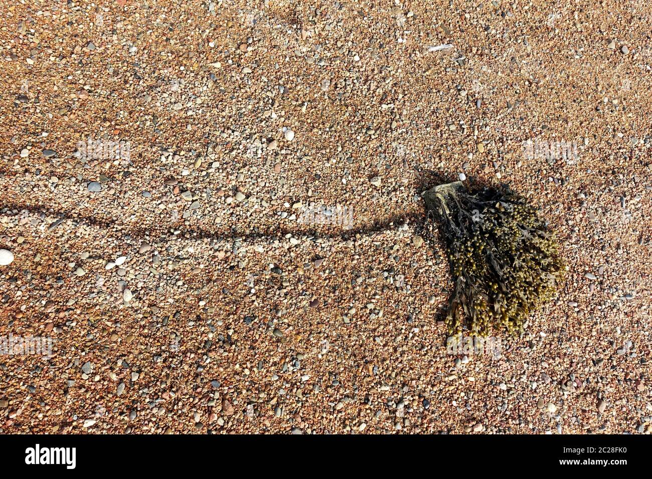 Drag marks left in sand by stones pulled along as the tidal waters move ...