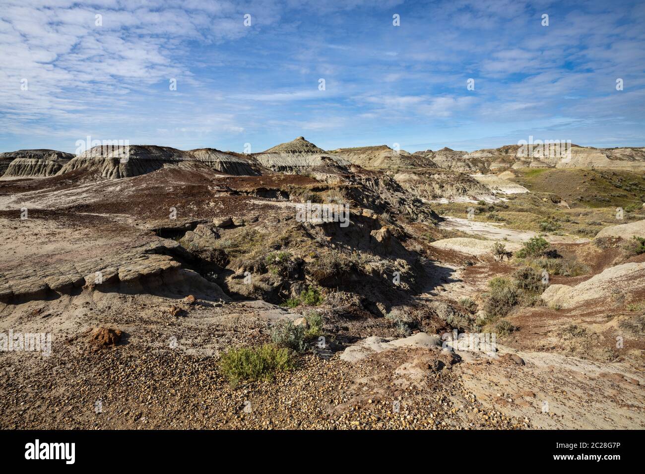 The Badland and Red Deer River Canyon of Alberta Canada Stock Photo - Alamy