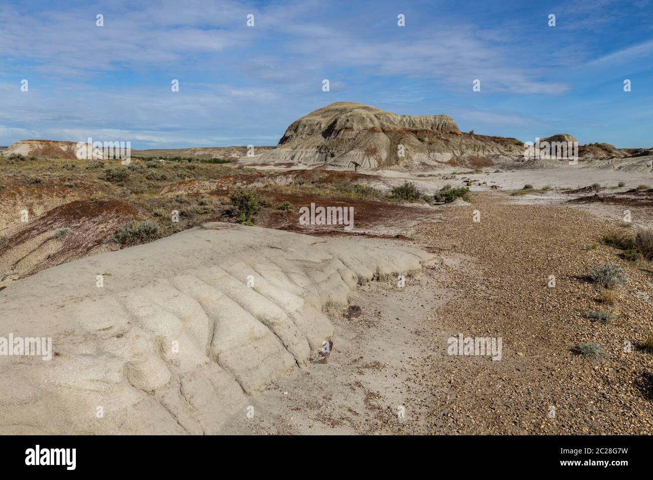 The Badland and Red Deer River Canyon of Alberta Canada Stock Photo - Alamy